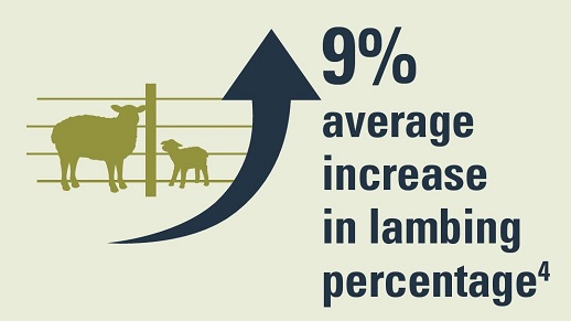 Campyvax®4 - NZ Sheep Vaccines