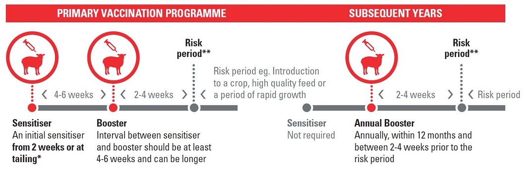 Multine® - NZ Sheep Vaccines